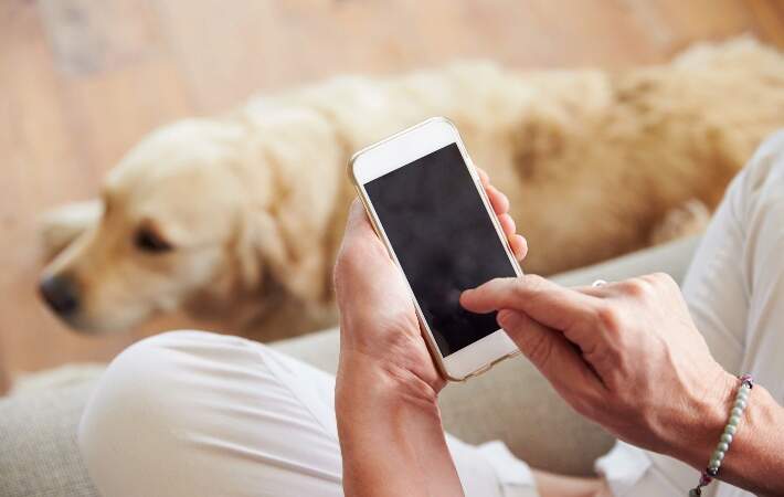 24 Dog Apps Every Pet Parent Needs in 2022