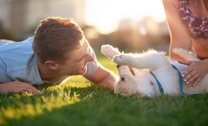 How to Socialize a Puppy | Nylabone