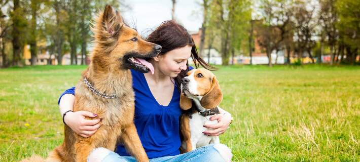 Top 10 Dog Breeds in America | Nylabone