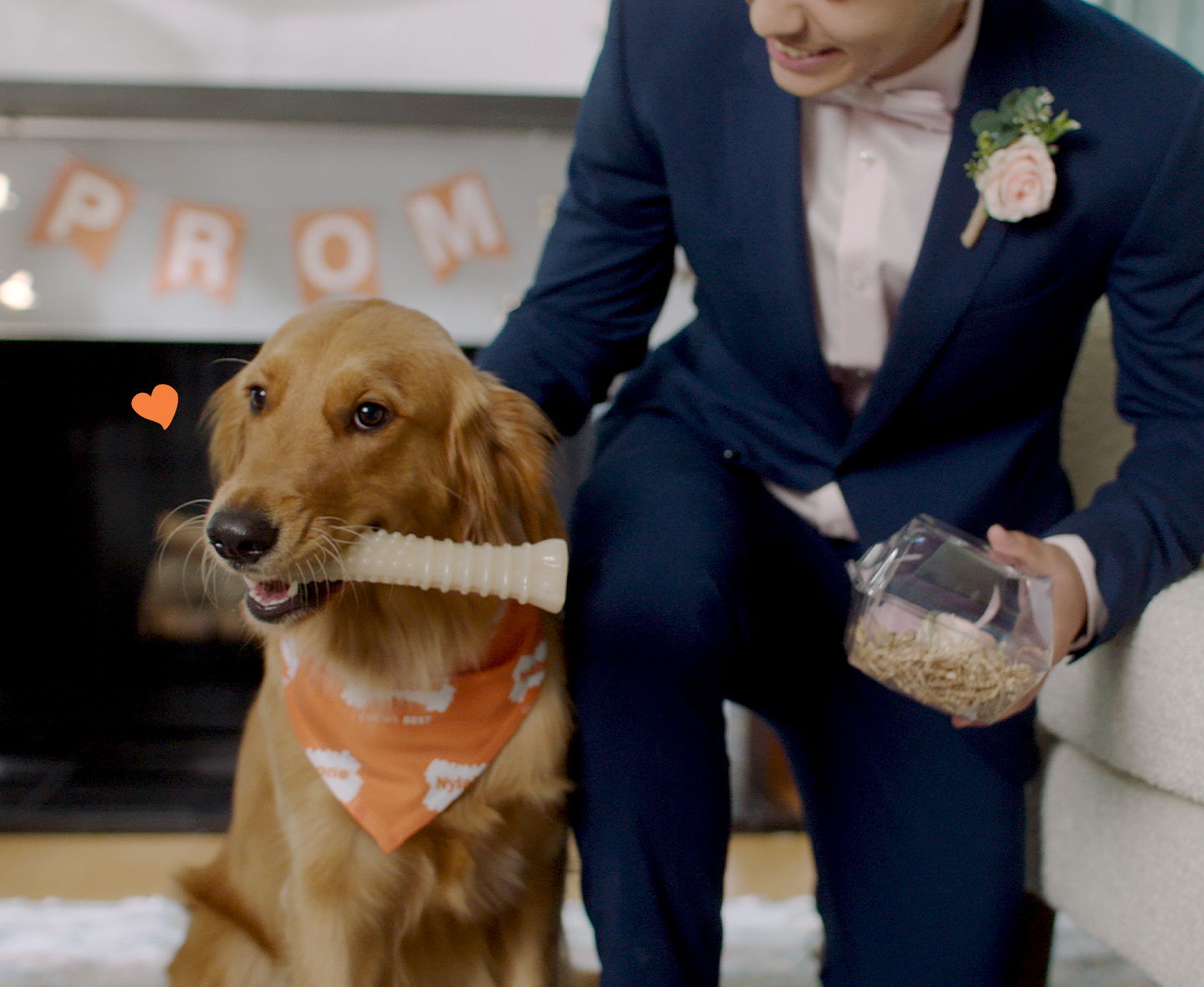 Trusted Chew Toys with Heart & Purpose | Nylabone