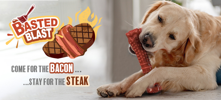 Taste the Baste with Basted Blast Chew Toys | Nylabone
