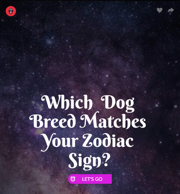 Dogs that match your zodiac sign 60 photos - Youhoroscope.com