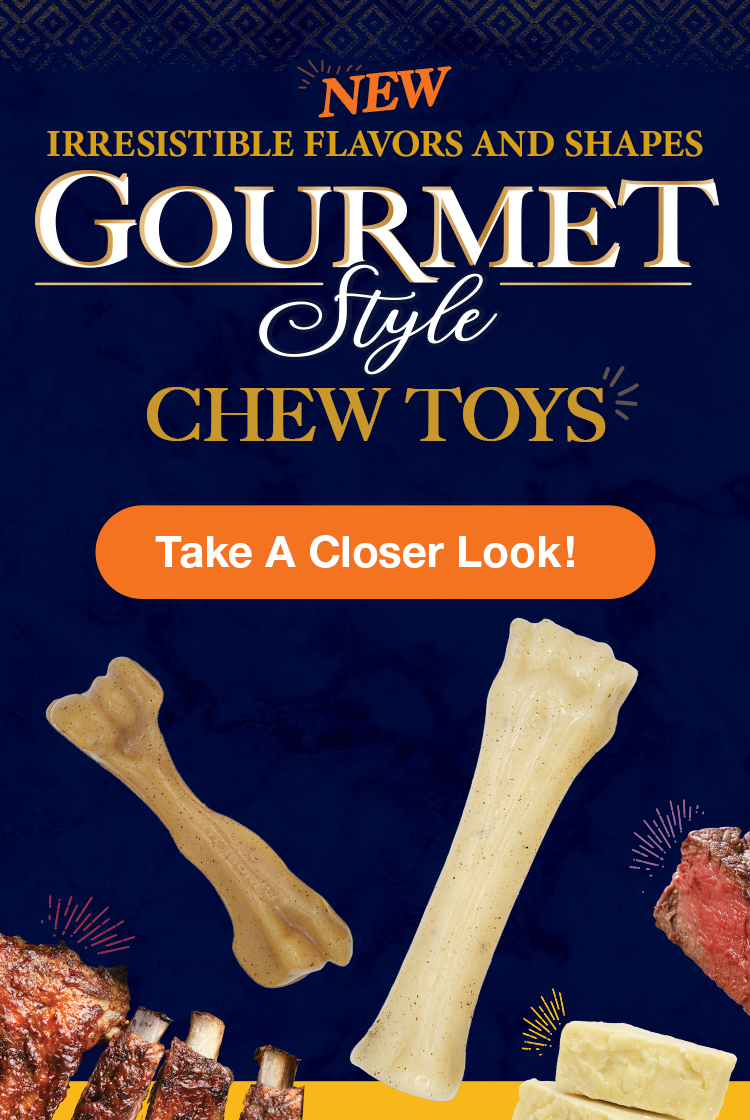 Nylabone Dog Toys, Chews, Treats, & Edible Dental Chews