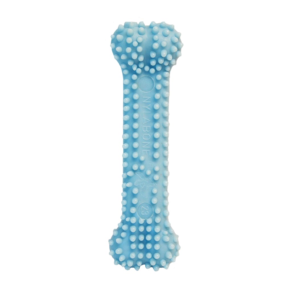 Puppy Chew Textured Teething Bone | Nylabone