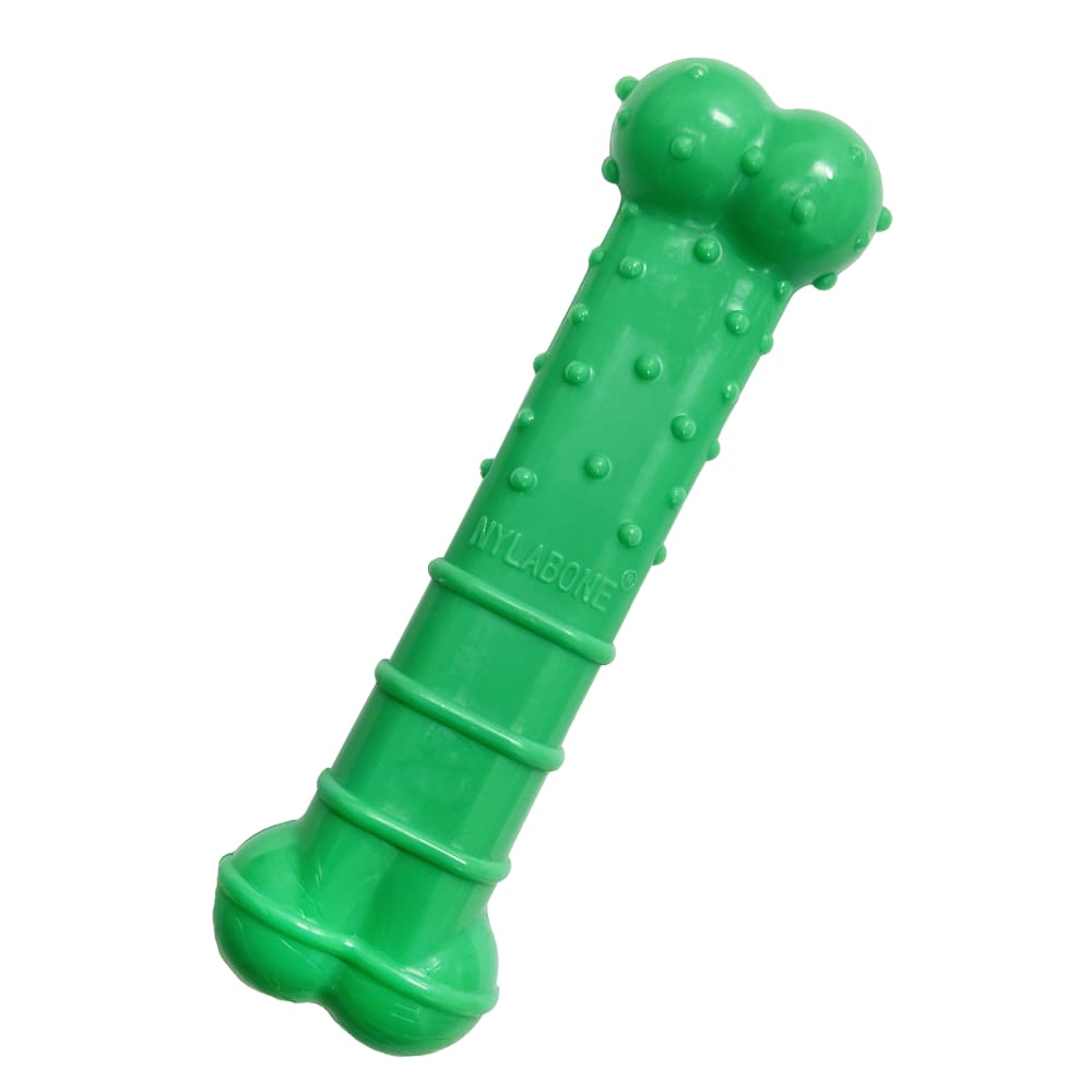 Power Chew Dental Bone | Nylabone Power Chew Dental Bone | Nylabone