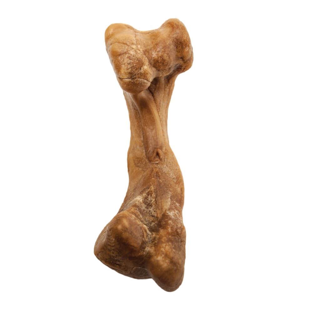 Healthy Edibles Broth Bone Natural Dog Treats | Nylabone