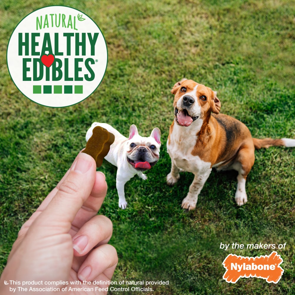 Chewy Bites Soft Dog Treats | Healthy Edibles | Nylabone