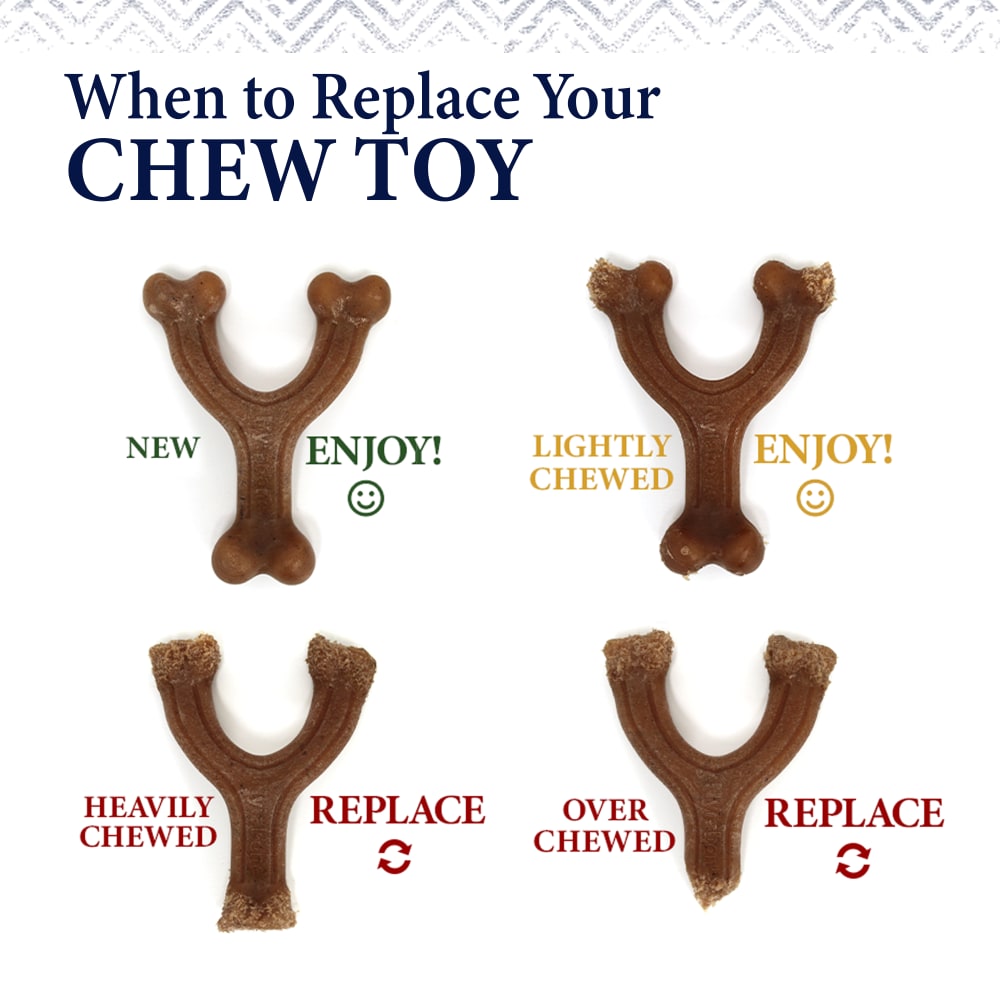 Gourmet Style Strong Wishbone Dog Chew Toy | Nylabone