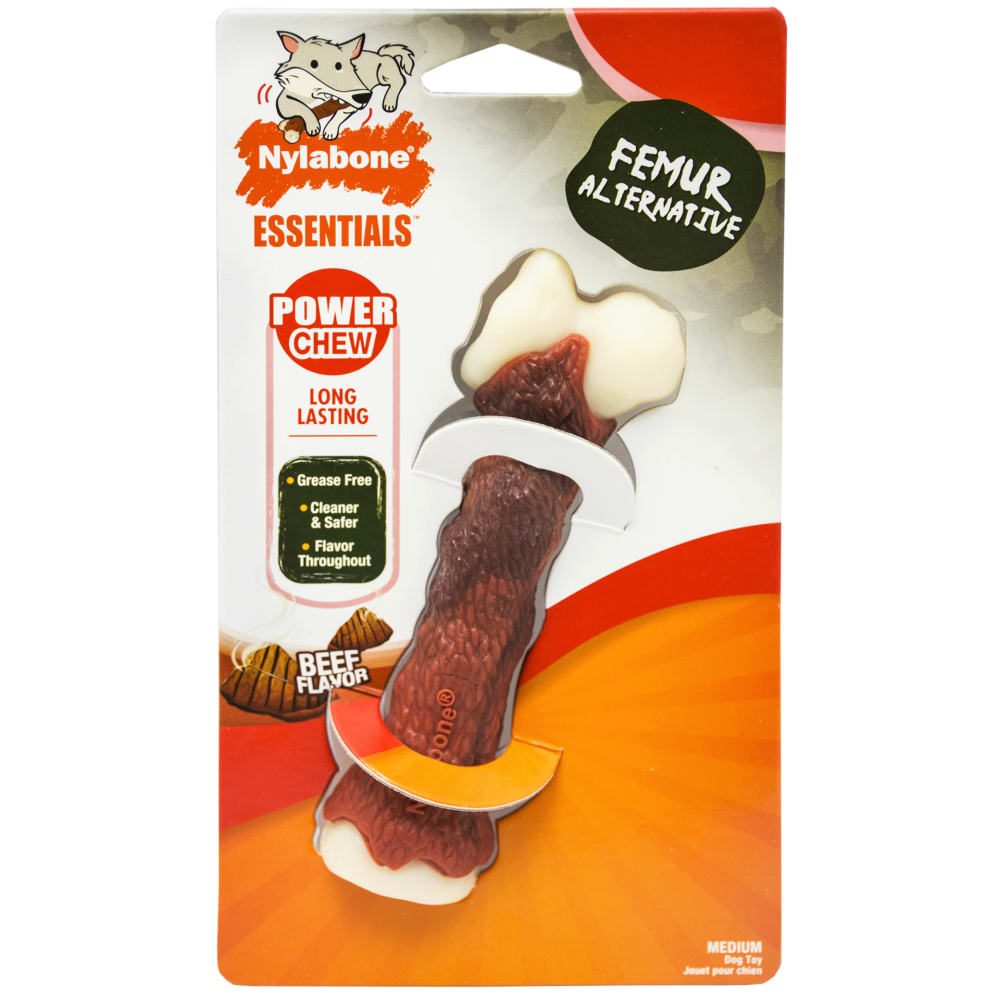 Flavor Frenzy Power Chew Durable Dog Chew Toy | Nylabone