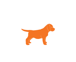 Find the Right Chew For Your Dog's Size | Nylabone
